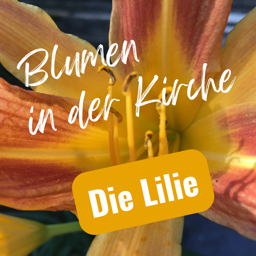 KIRCHENAUSSTATTUNG: FOLGE 21 – DIE LILIE | EVANGELISCH IN GARMISCH ...